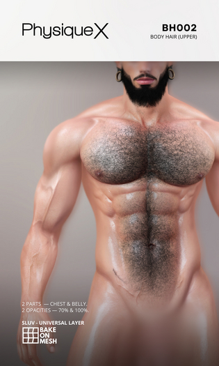 Second Life Marketplace - Physique X - BH002 Body Hair (Upper) - BOM - Unpacker